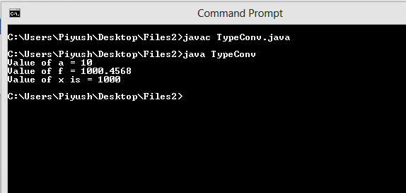 Type Conversion In Java : Output