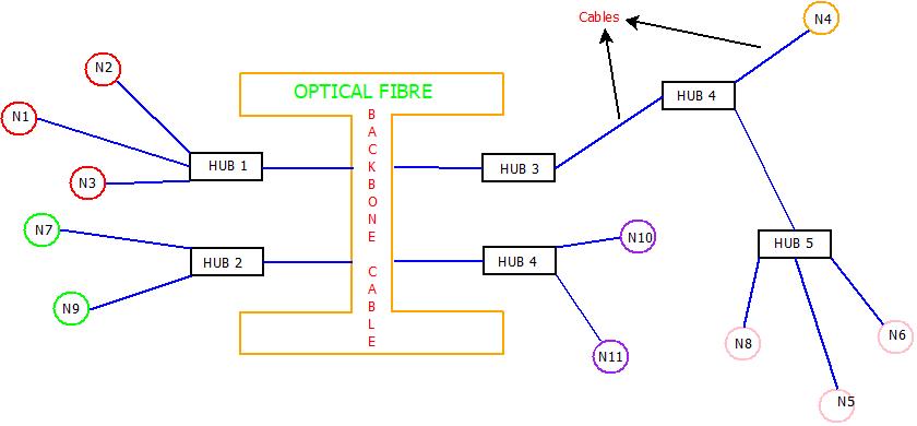Network Topology : Tree Topology